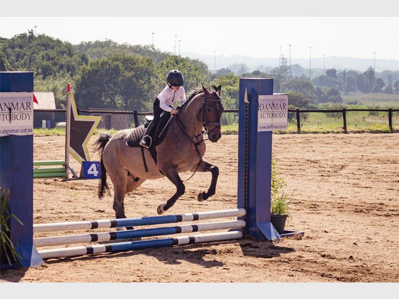 Five year old Enjoys Her Horse Riding Comaro Chronicle five-year-old-enjoys-her-horse-riding-comaro-chronicle